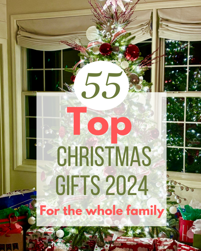 Top Christmas Gifts 2024: Perfect Picks for the Whole Family - Popular ...
